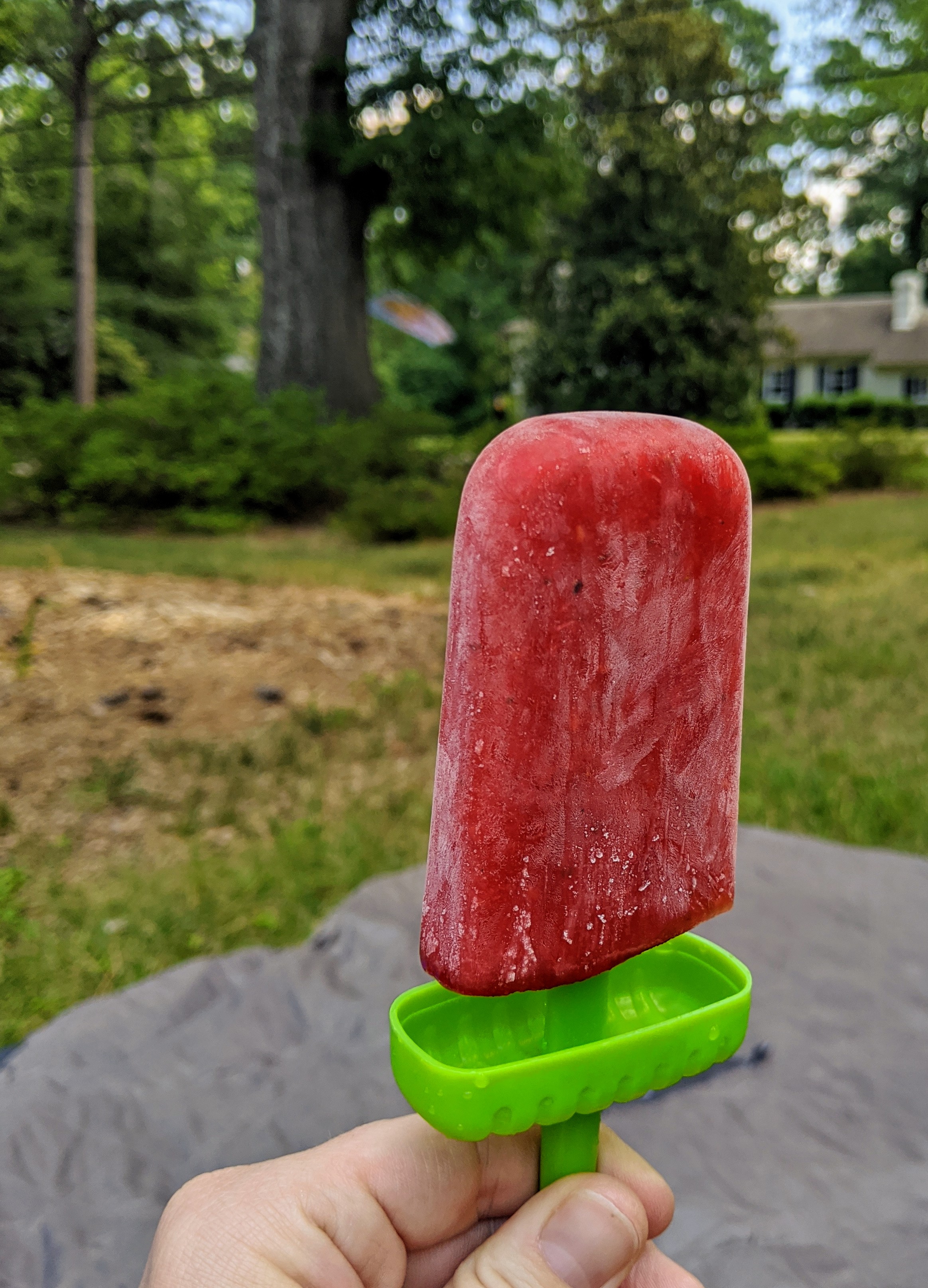 Berry Lime Popsicles – Bon Appetit Baby!
